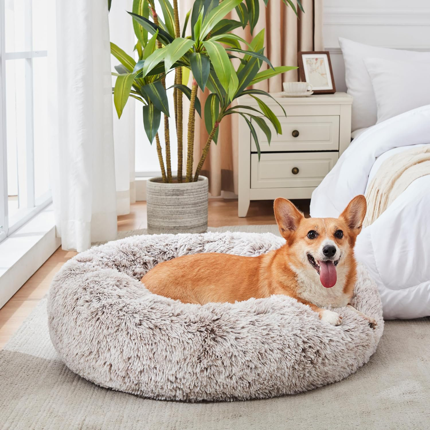 Tucker Murphy Pet™ Calming Dog & Cat Bed, Anti-Anxiety Donut Cuddler Warming Cozy Soft Round Bed ...
